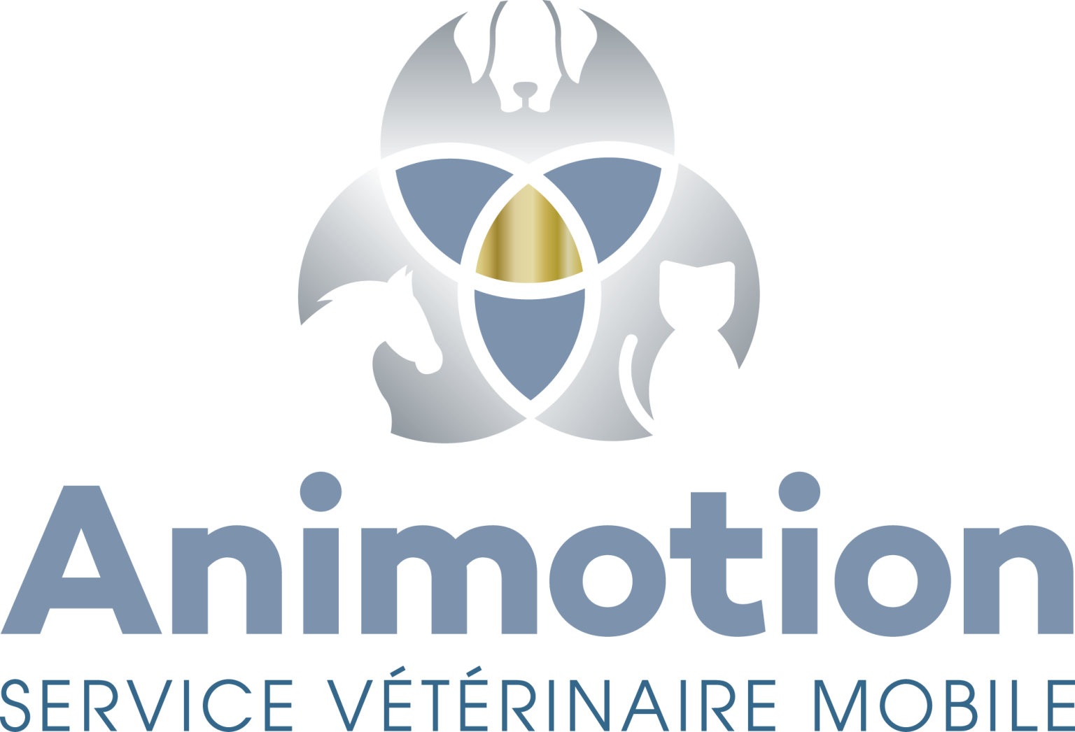 Accueil - SVM Animotion inc.